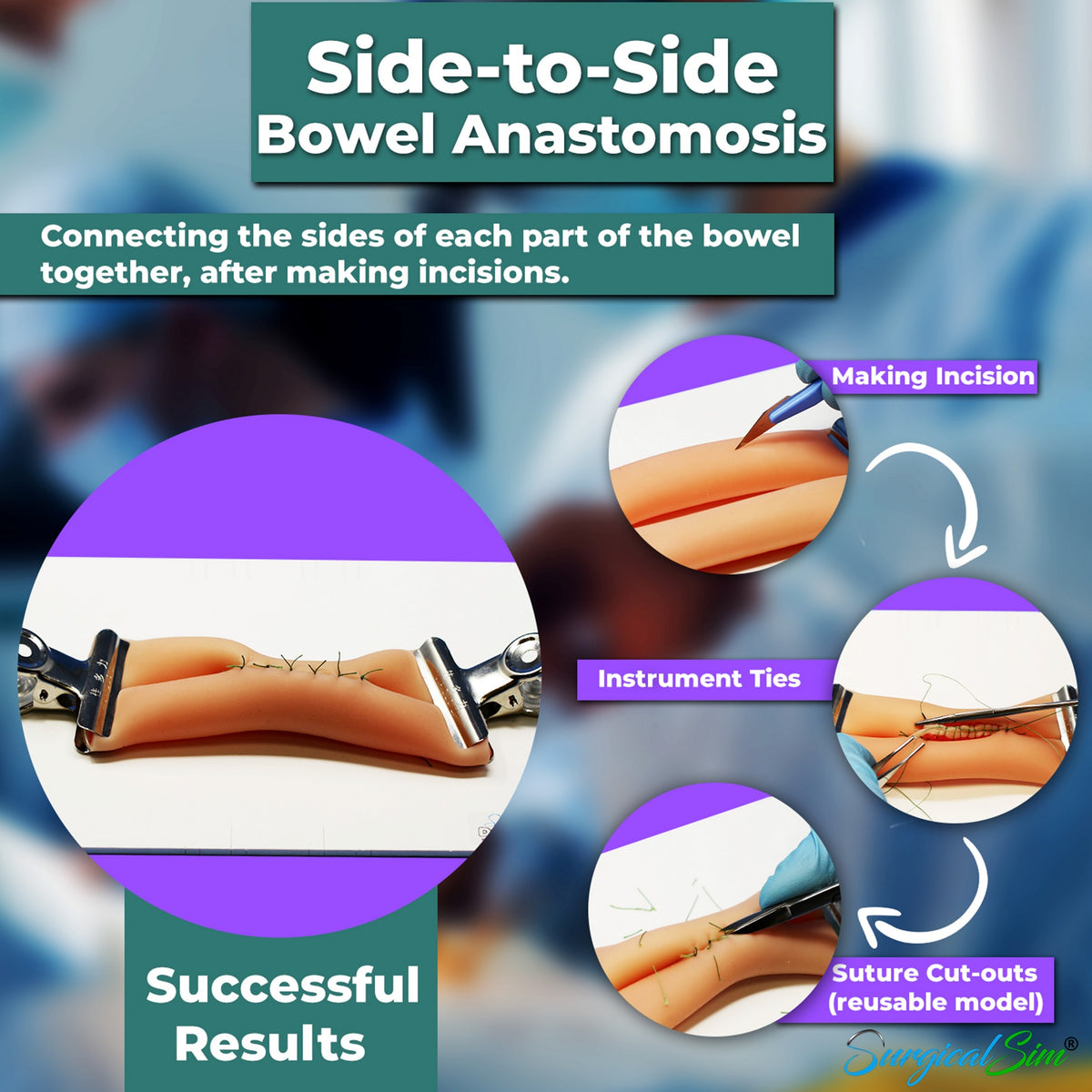Bowel Anastomosis Training Kit Practice Side to Side with 20mm Diamete ...