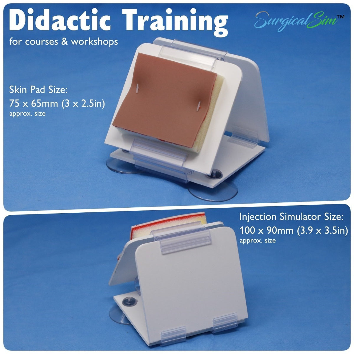 Injection Practice Simulator Education Training Kit (Brown) Teaching P ...